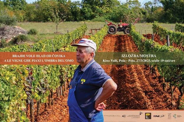 Izložba „Brajde vole hlad od čovika“